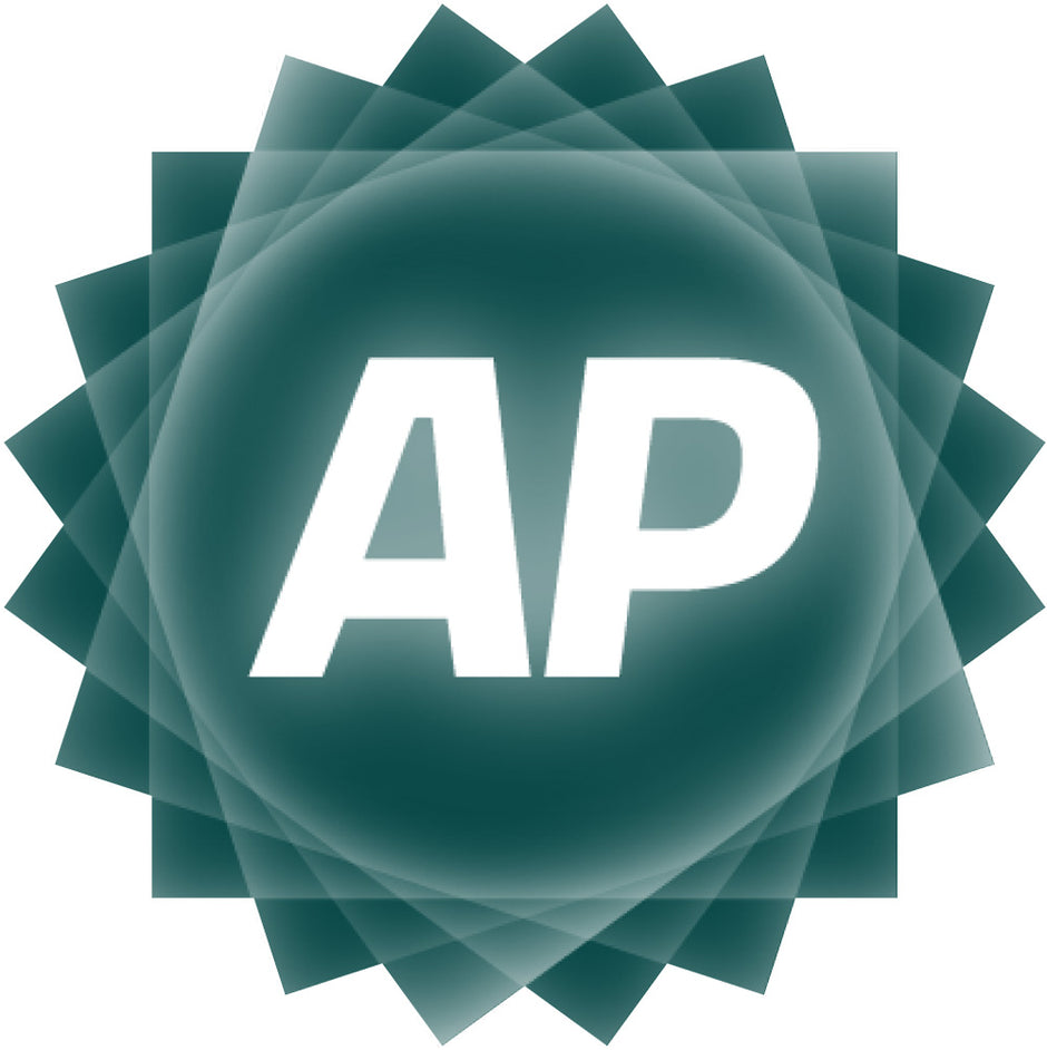 Digitizing Software – Rubenstein RB Digital Inc